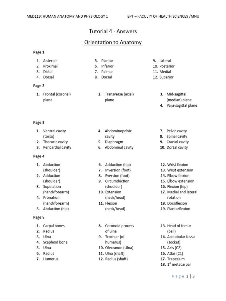 Tutorial 4 - Answers Orientation To Anatomy | PDF | Anatomical Terms Of ... Tutorial 4 - Answers Orientation To Anatomy | PDF | Anatomical Terms Of ...