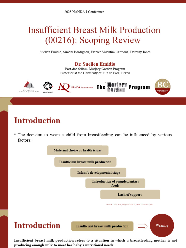 NANDA Insufficient Breast Milk | PDF | Breastfeeding | Systematic Review