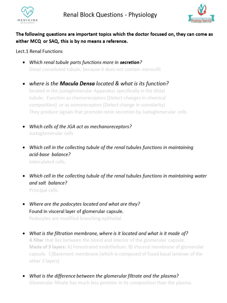 0000 Questions | PDF | Kidney | Urinary System