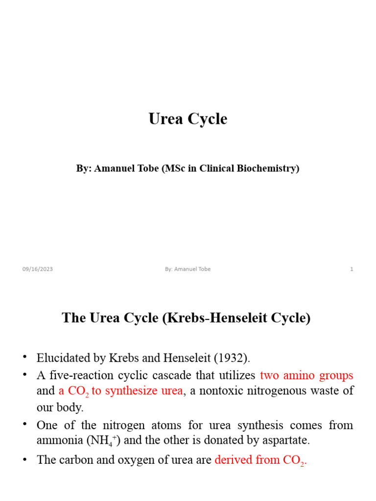 Urea Cycle | PDF | Biosynthesis | Urea