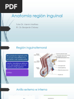 Ultrasonido de la Región Inguinal | PDF | Testículo | Ultrasonido médico