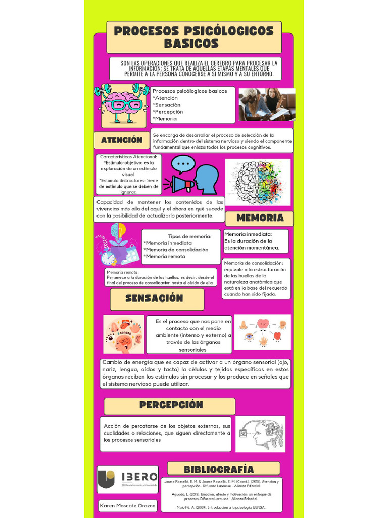 Procesos Psicologicos Basicos | PDF