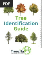 Tree Identification Cards | PDF | Flora | Trees