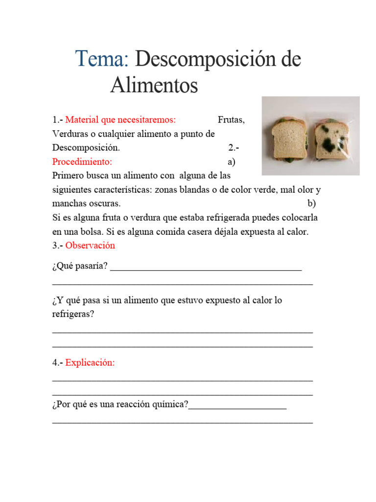 Descomposición de Alimentos para Niños | PDF