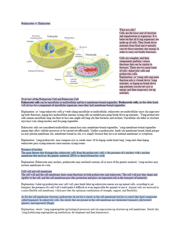 The Medtechs Eme | PDF | Cell (Biology) | Ploidy