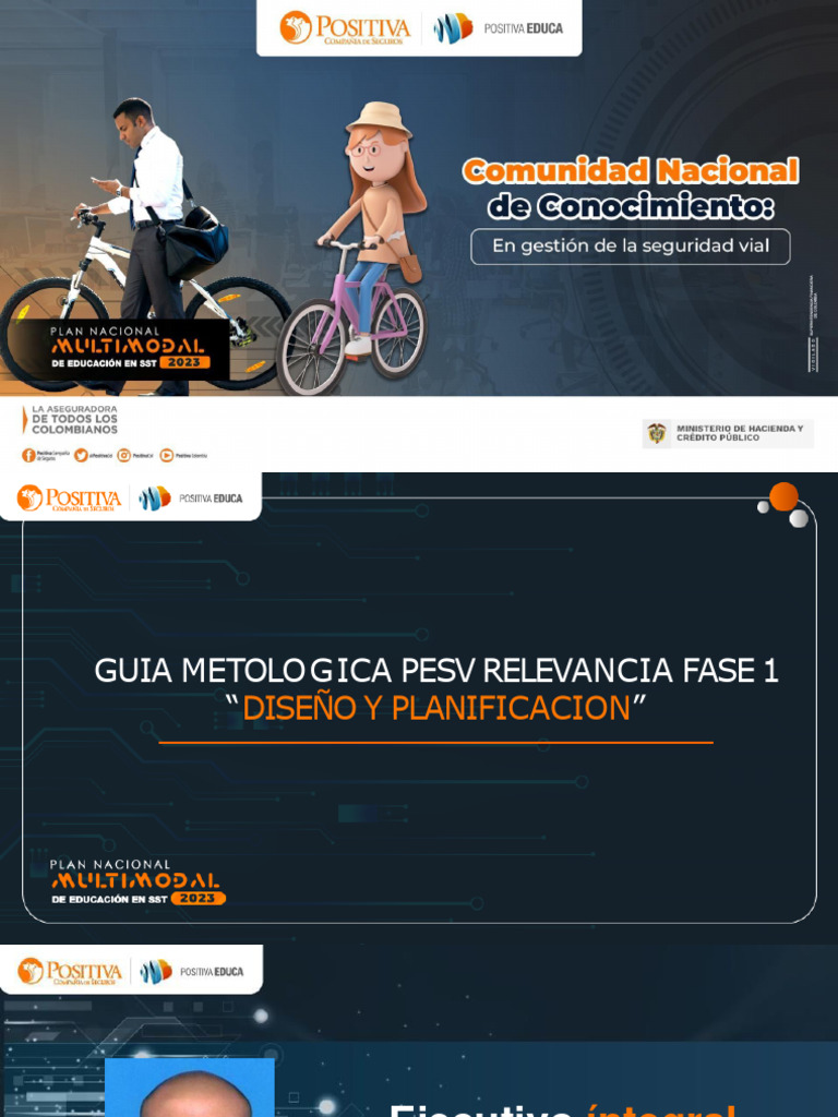 PESV presentación Fases | PDF | Outsourcing | Auditoría