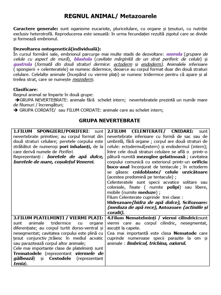 REGNUL ANIMAL -GRUPA NEVERTEBRATE | PDF