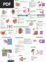 Splanchnology: (The Study of The Internal Organs) | PDF | Human ...