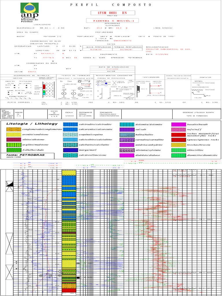 1 FSM 1 RN Perfil Composto | PDF
