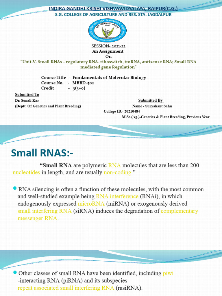 Small RNAs and Gene Regulation Overview | PDF | Structural Biology ...