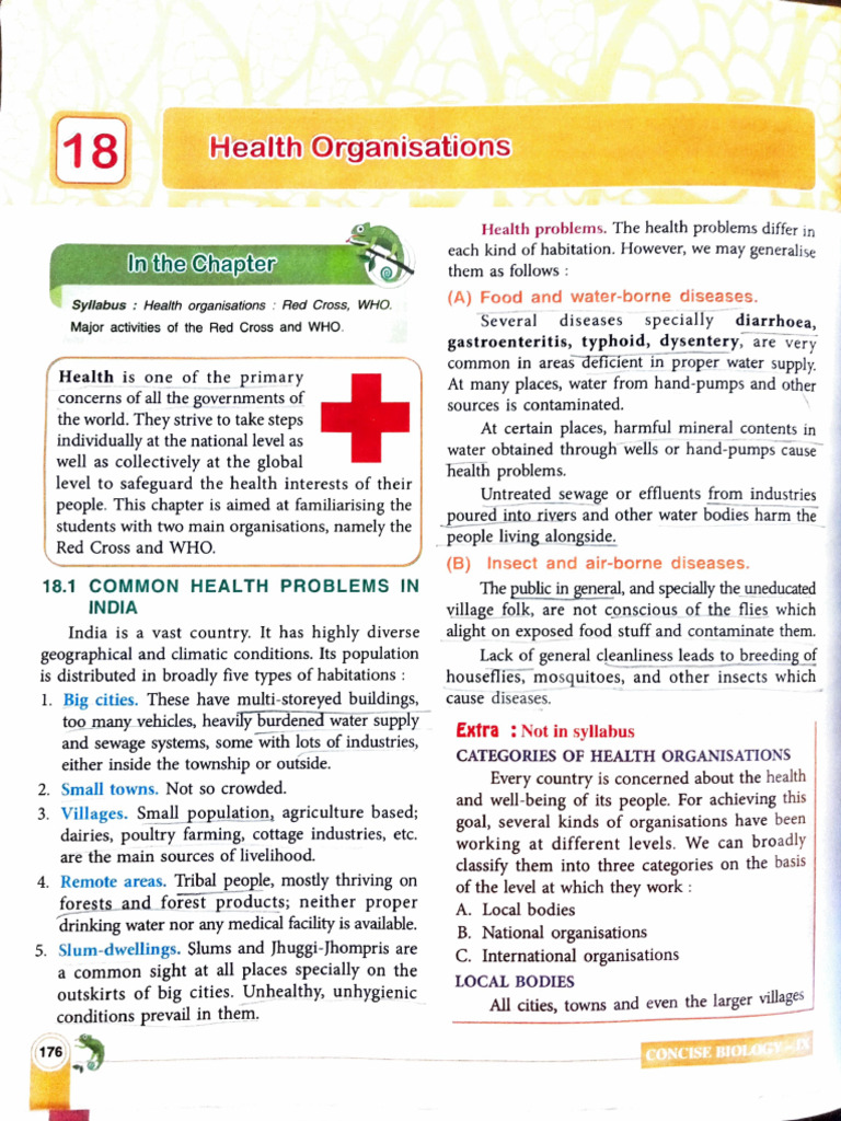 Health Organisations | PDF | World Health Organization | American Red Cross