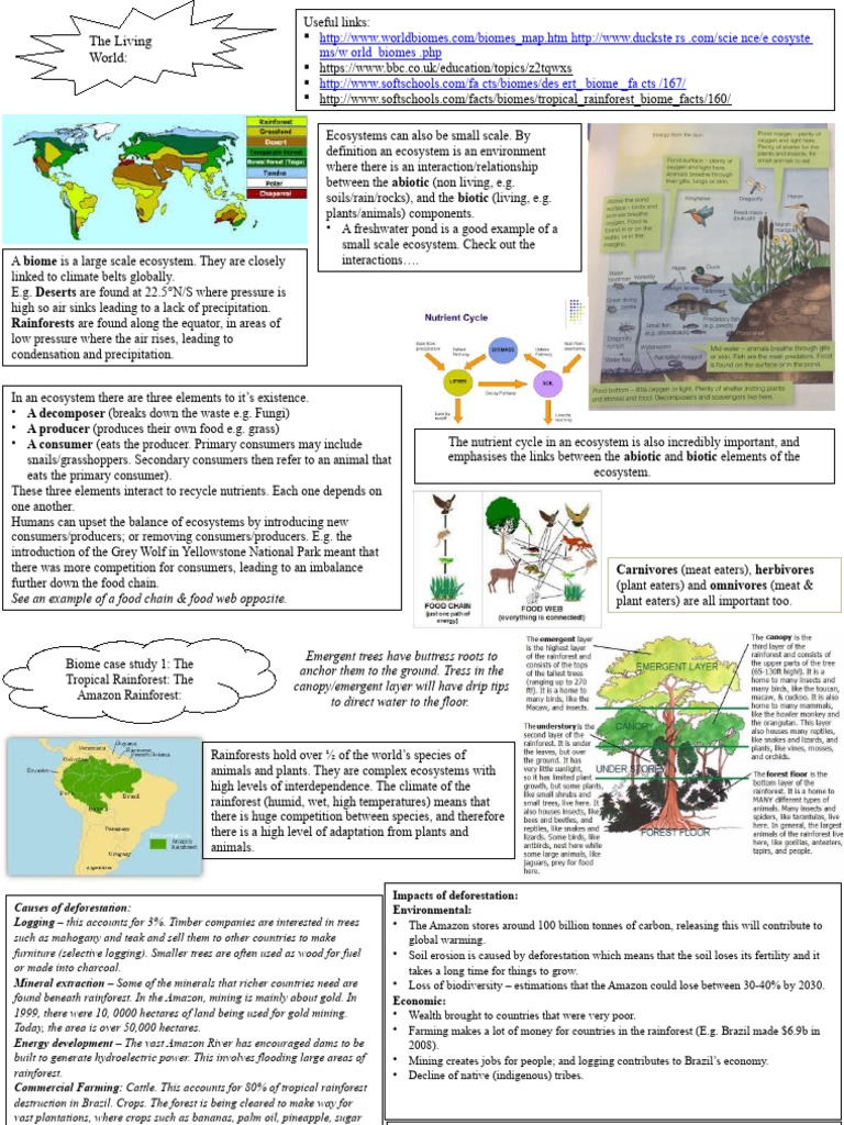 The Living World:: MS/W Orld - Biomes .PHP | PDF | Amazon Rainforest ...
