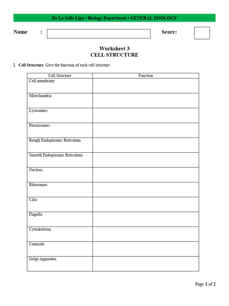 Worksheet 3 - Cell Structures-1 | PDF