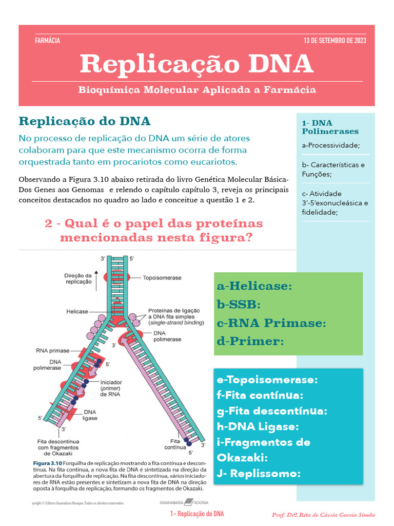 Mecanismos da Replicação do DNA | PDF | DNA | Replicação de DNA