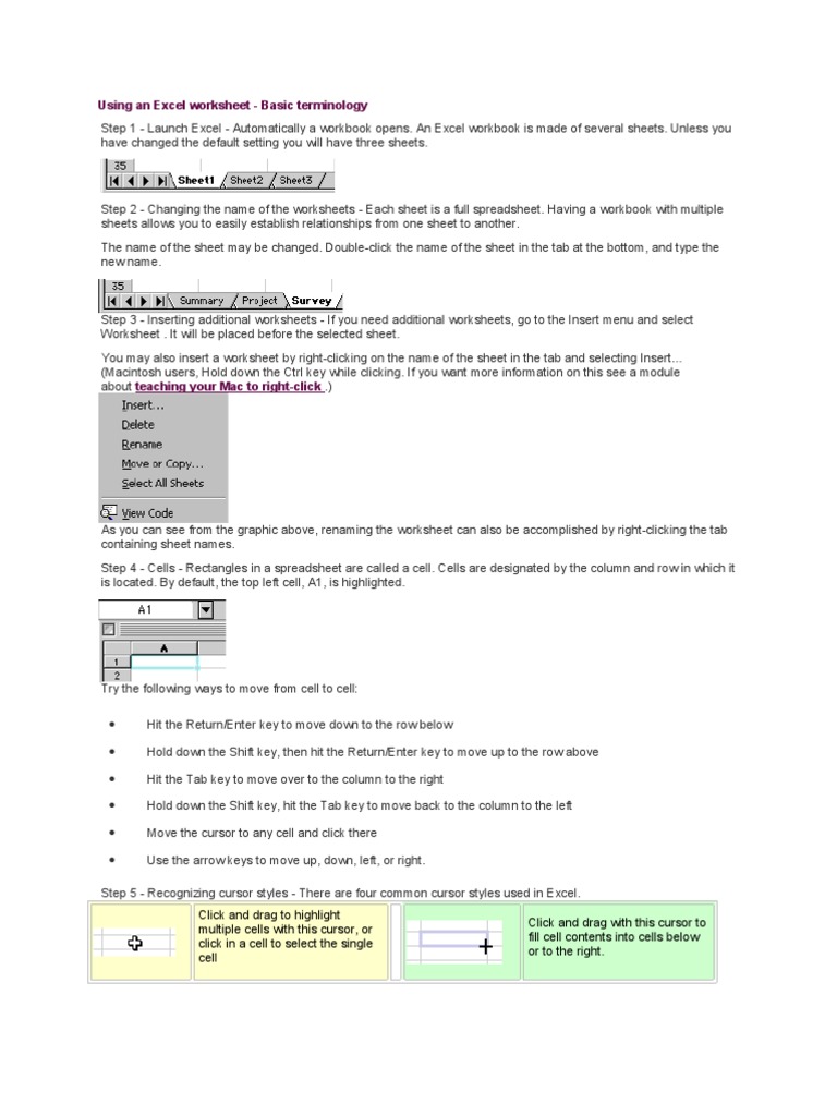Excel Basics | PDF | Spreadsheet | Microsoft Excel