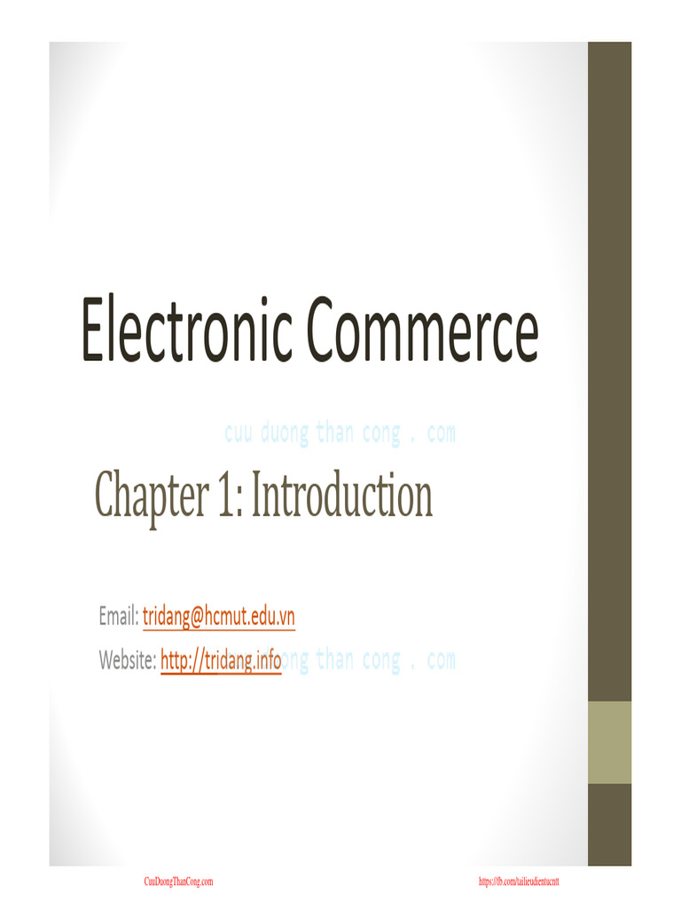 Thuong-Mai-Dien-Tu - Dang-Tri - 01 - Introduction - (Cuuduongthancong - Com) | PDF | E Commerce ...