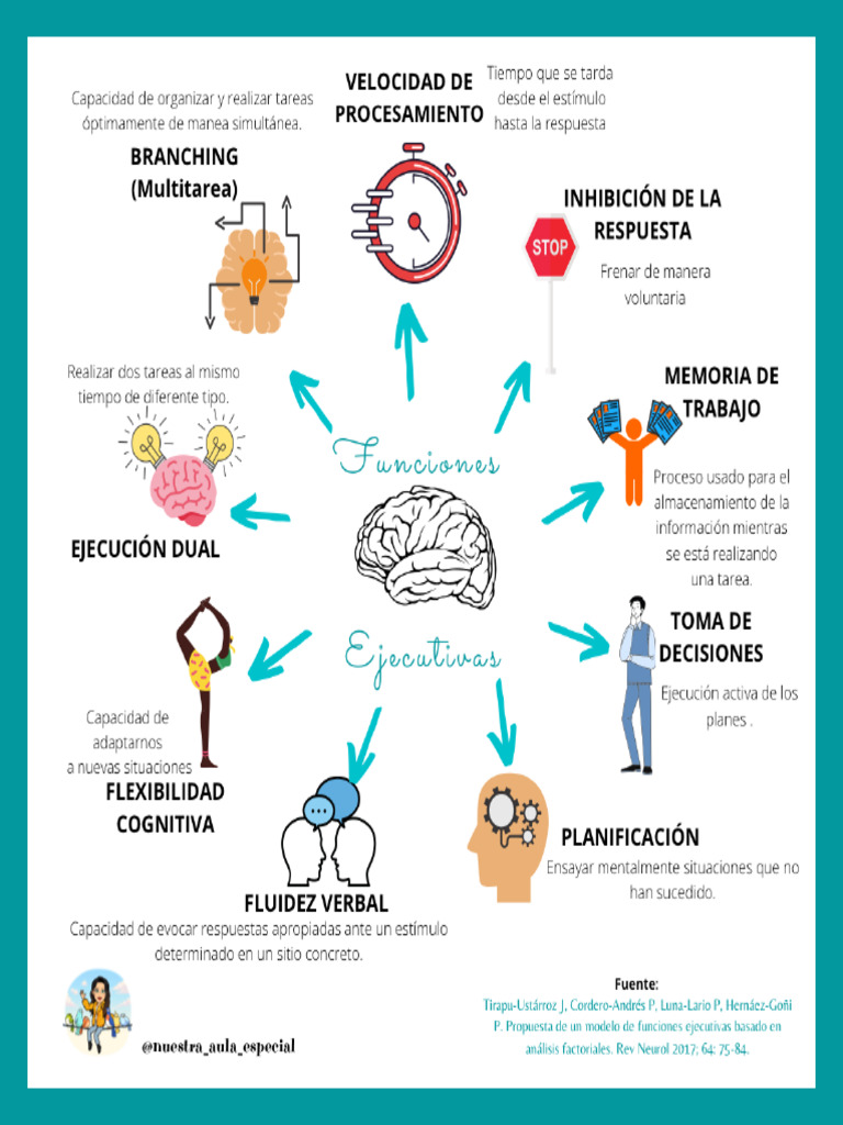 Función ejecutiva | PDF | Memoria | Funciones ejecutivas