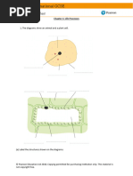 Grade 9 Plant and Animal Cell Revision | PDF | Cell (Biology) | Chloroplast