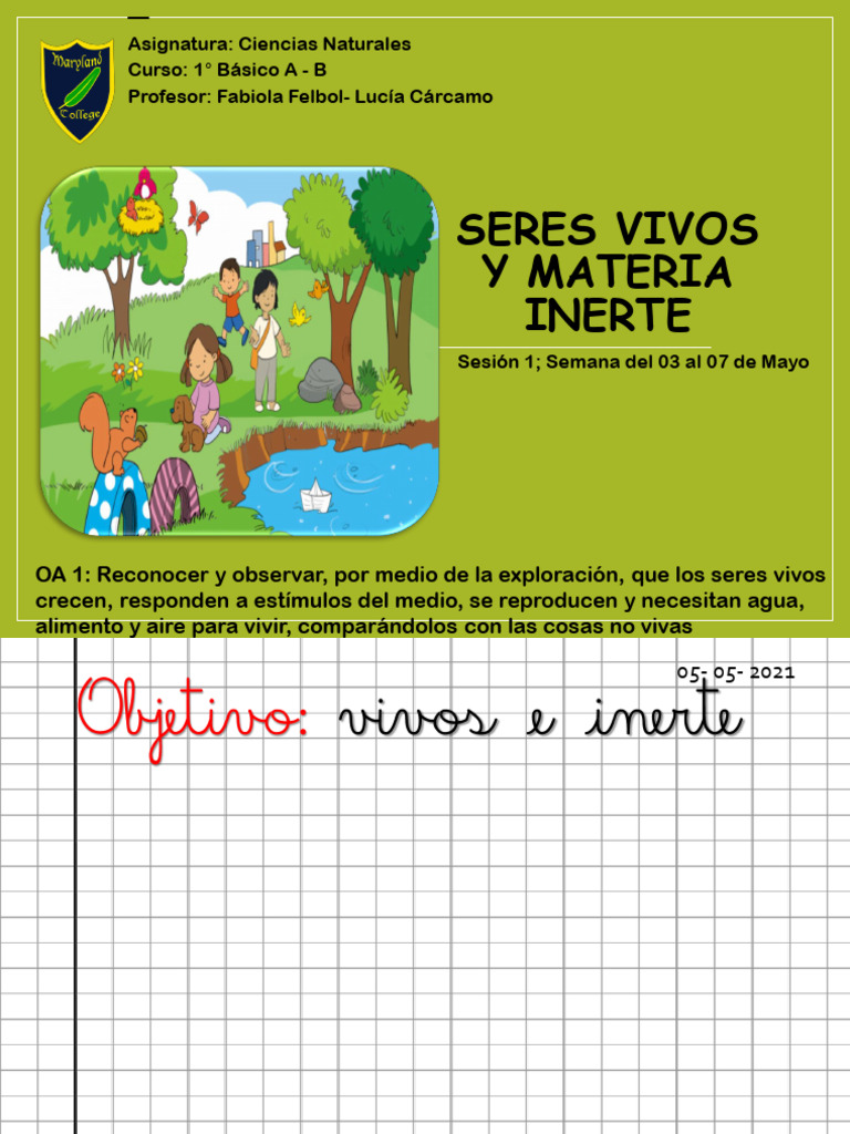 Seres Vivos y Materia Inerte para Niños | PDF