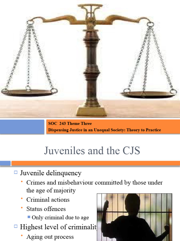 SOC 243 Theme Three Lecture Four - Youth | PDF | Sentence (Law ...