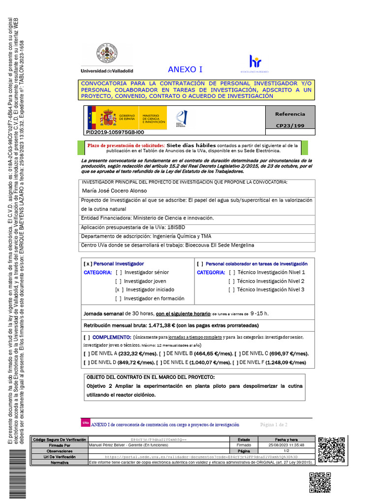 Anexo I Investigador Iniciado Convocatoria CP23-199 | PDF