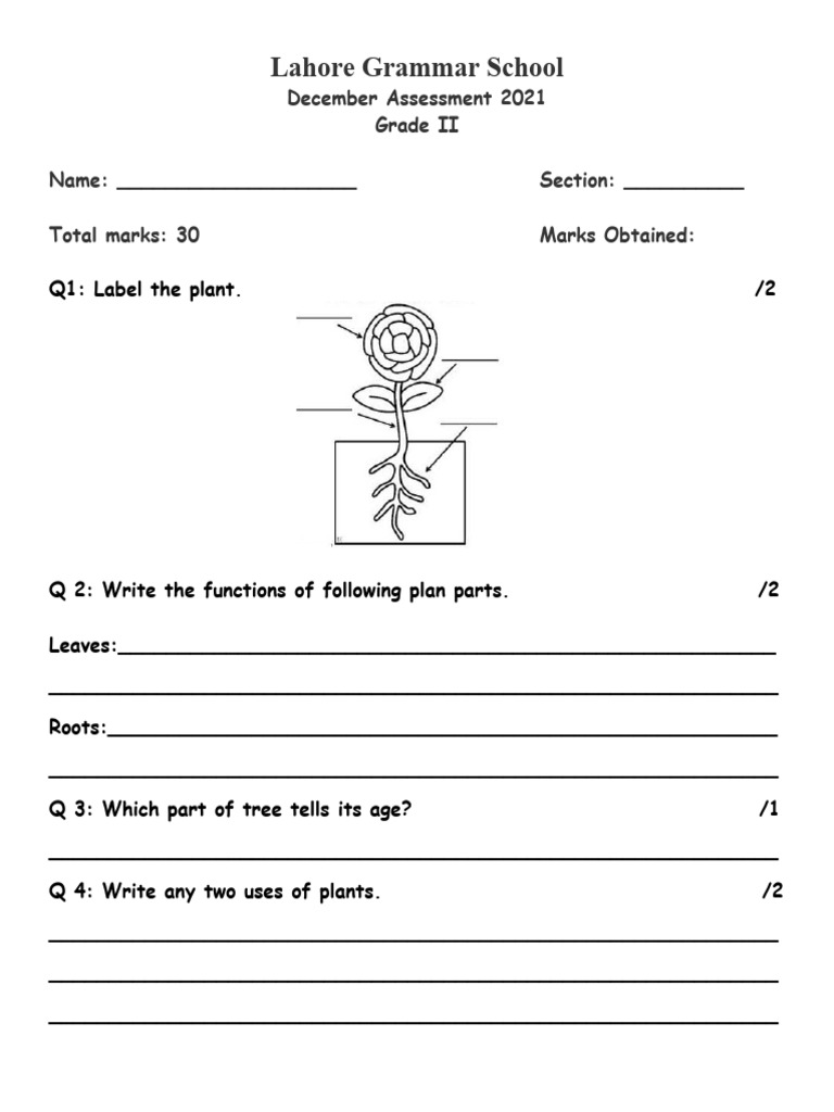 Science Grade 2 Dec Test | PDF | Plants | Fruit