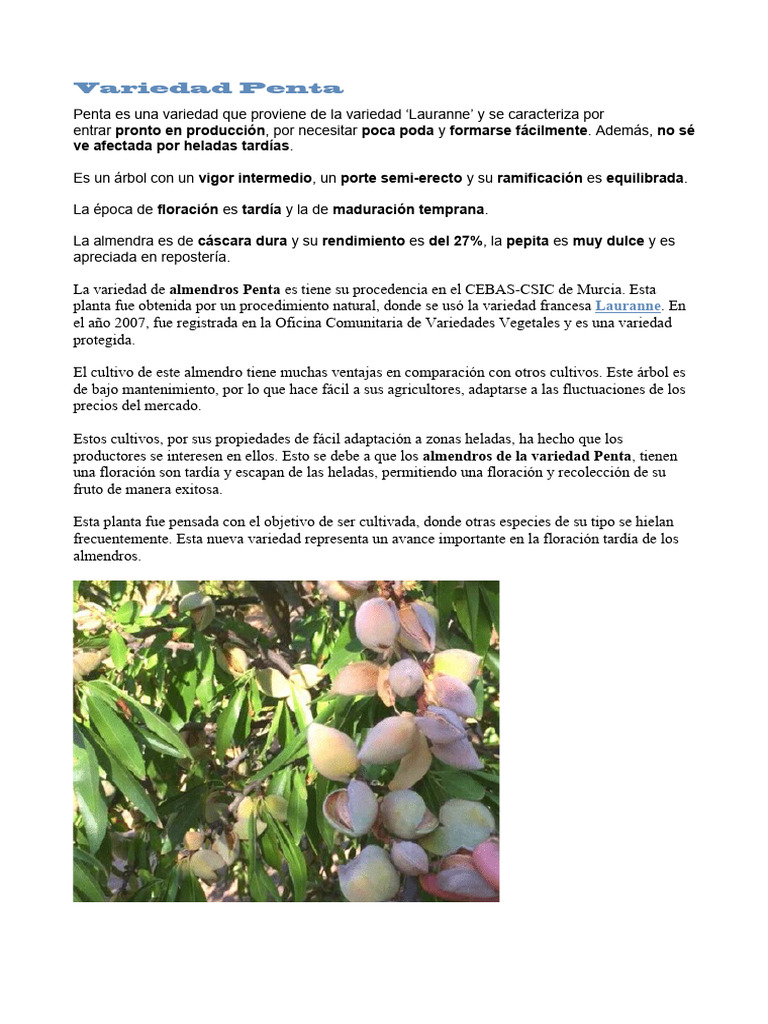 Variedad Penta de Almendro: Características y Ventajas | PDF ...
