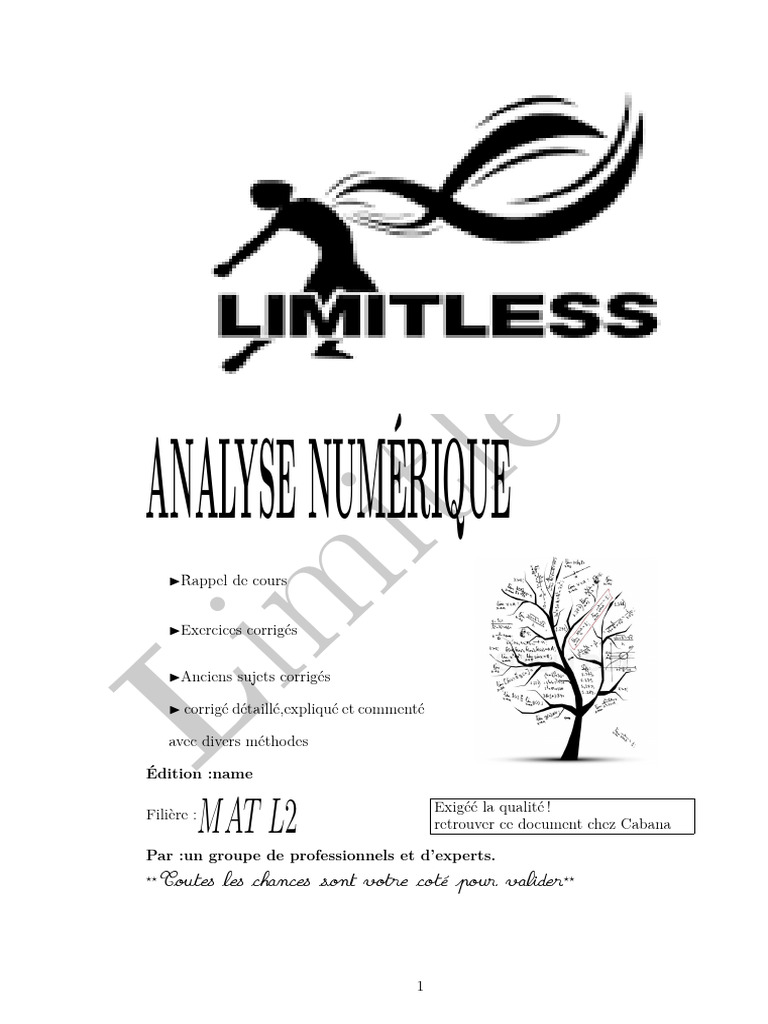 Analyse Numerique 1 | PDF | Analyse mathématique | Mathématiques