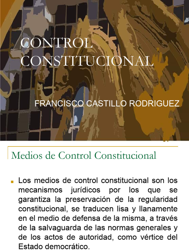 CONTROL CONSTITUCIONAL. Francisco Castillo | PDF | Constitución | Gobierno