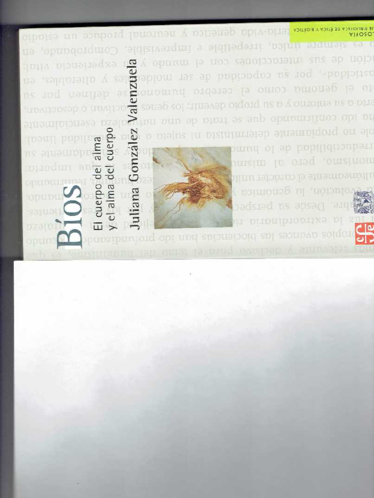 Progresion 6 Juiana Gonzalez | PDF