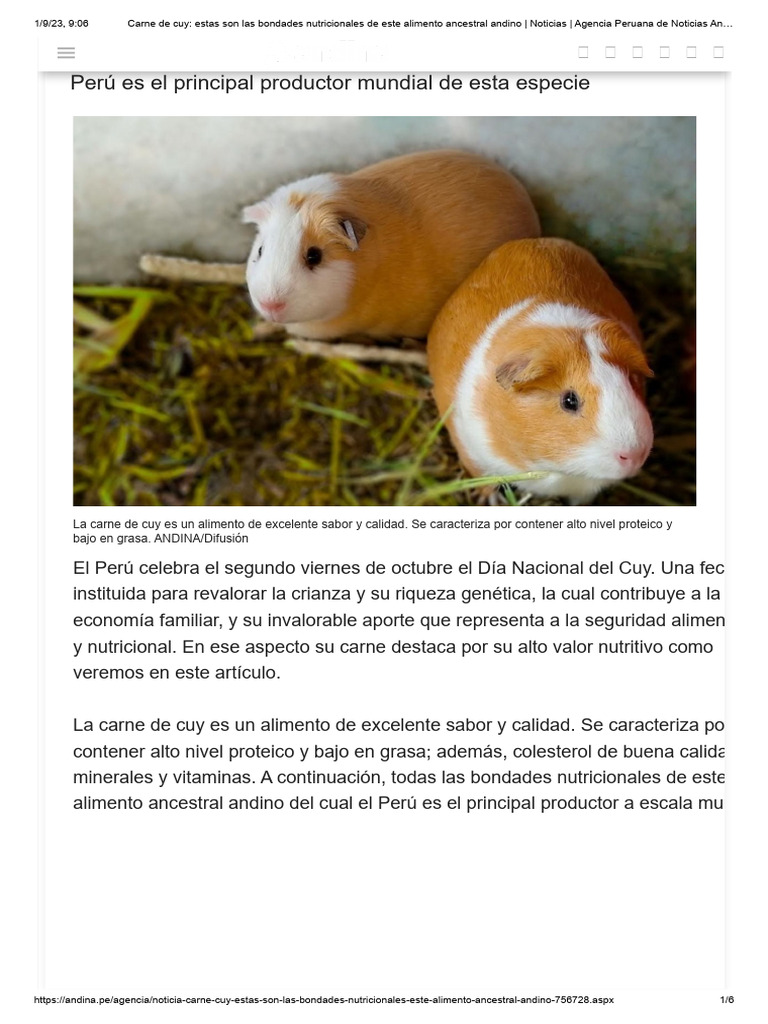 Carne de Cuy - Estas Son Las Bondades Nutricionales de Este Alimento ...