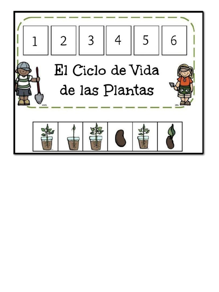 Ciclo de Vida de Las Plantas | PDF