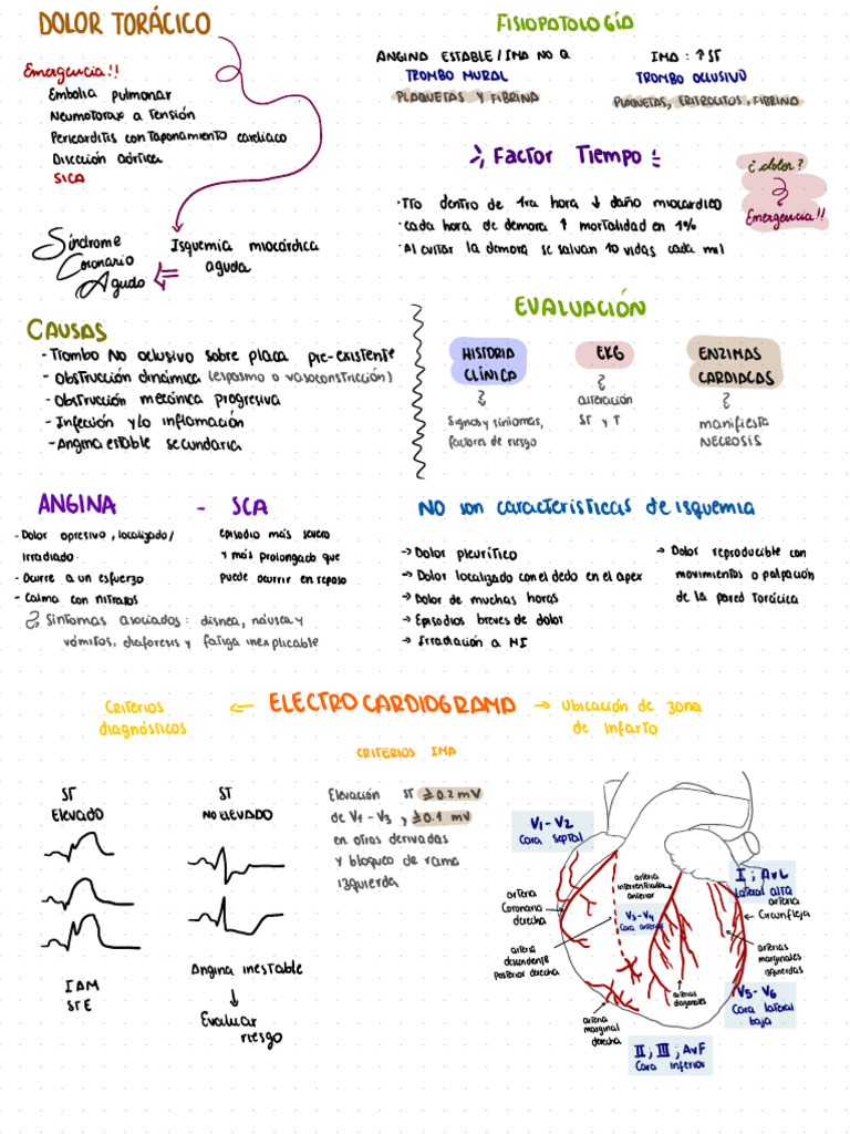 SICA | PDF | Cardiología | Enfermedades y trastornos