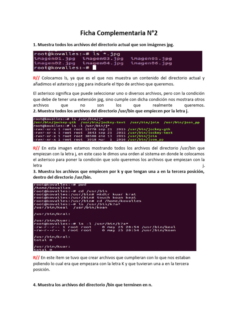 Ficha Complementaria N°2 | PDF