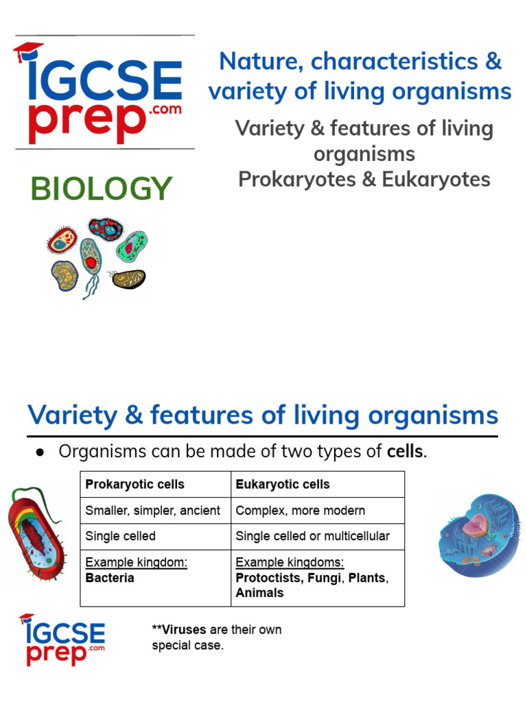Characteristics and Variety of Life | PDF | Cell (Biology) | Organisms