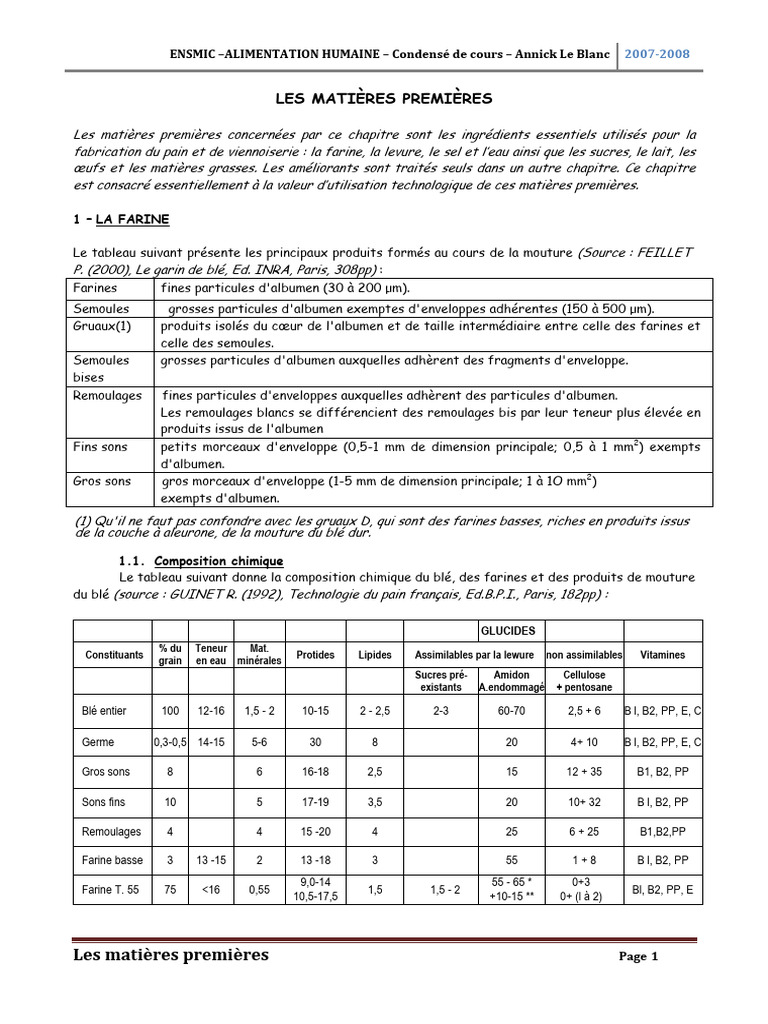 Cours2-1 - Les Matières Premières | PDF