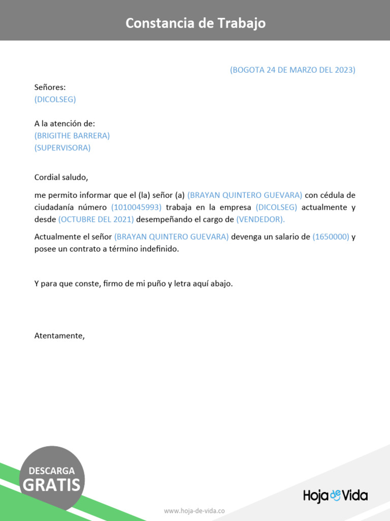 18 Carta Laboral BRAYAN | PDF