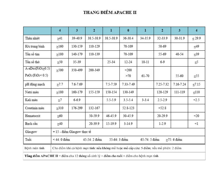 Thang Diem Apache II | PDF
