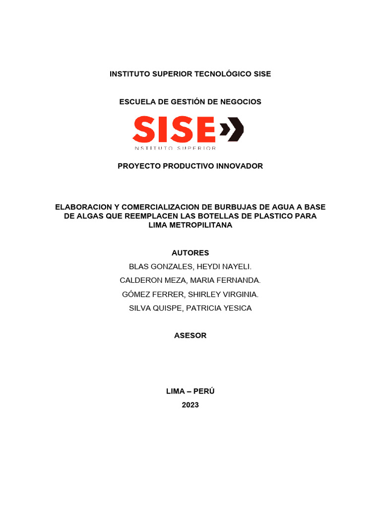 Proyecto Sise | PDF | Perú | Business