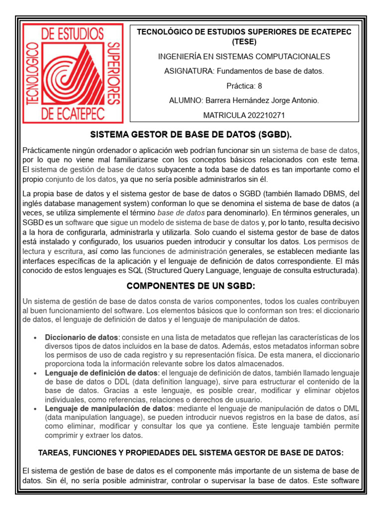 Sistema Gestor de Base de Datos | PDF | Bases de datos | Base de datos ...