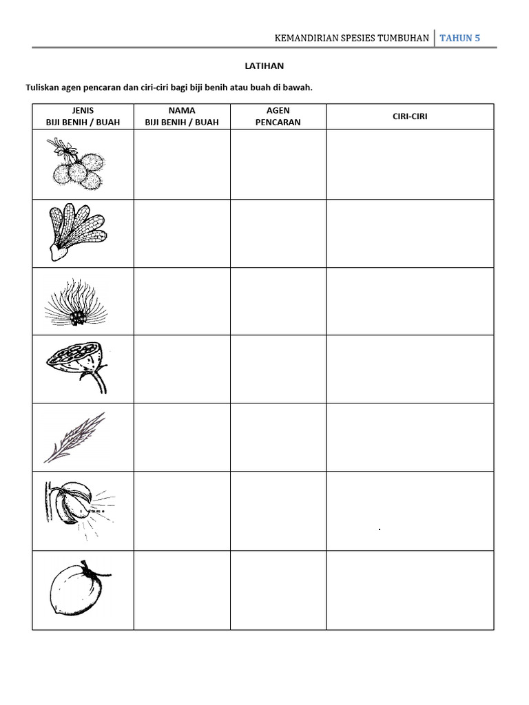 Pencaran Biji Benih Sainst5 | PDF