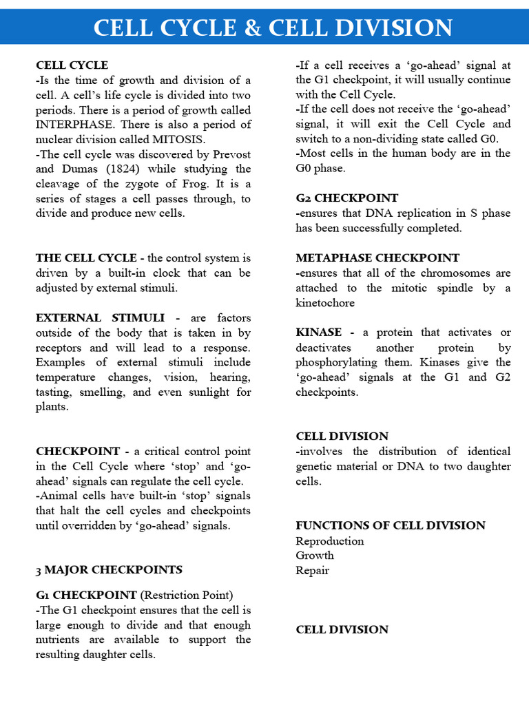 Bio Lecture | PDF | Mitosis | Cell Cycle