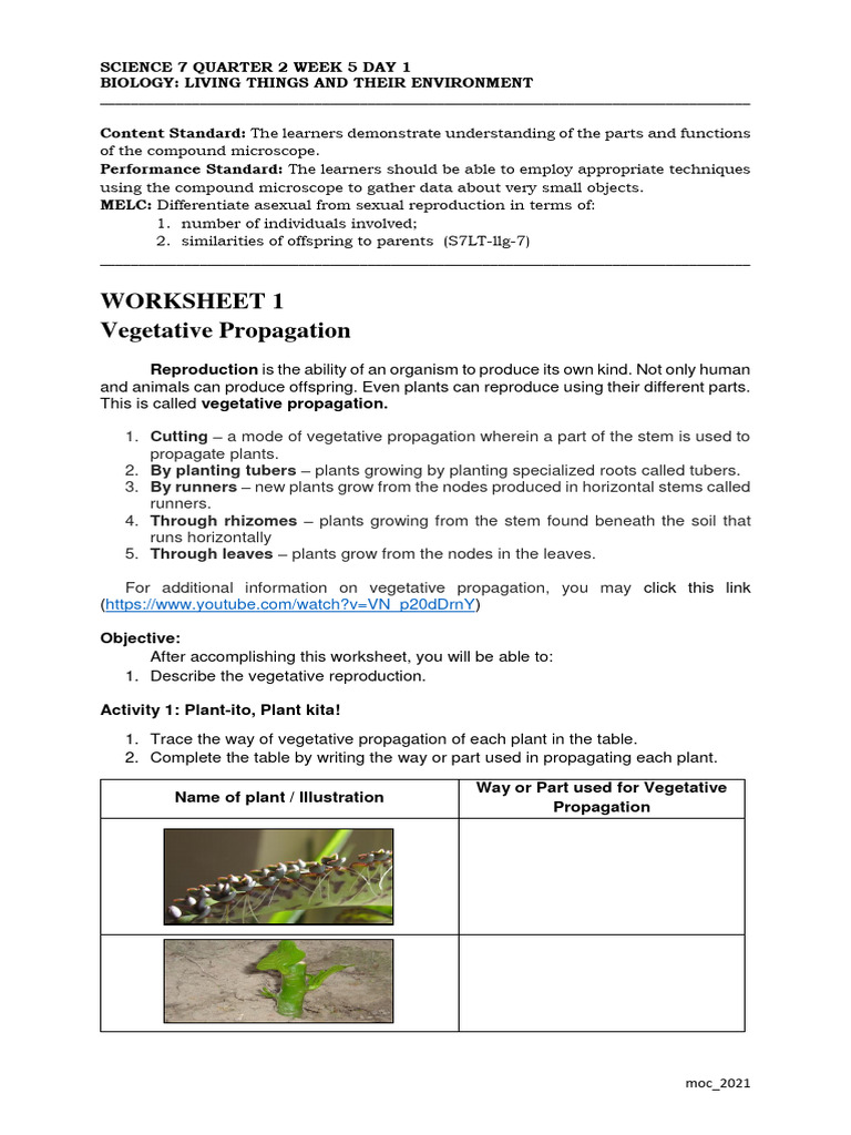 SCIENCE 7 - QUARTER 2 - WEEK 5 - WORKSHEET 1 - Vegetative Propagation ...