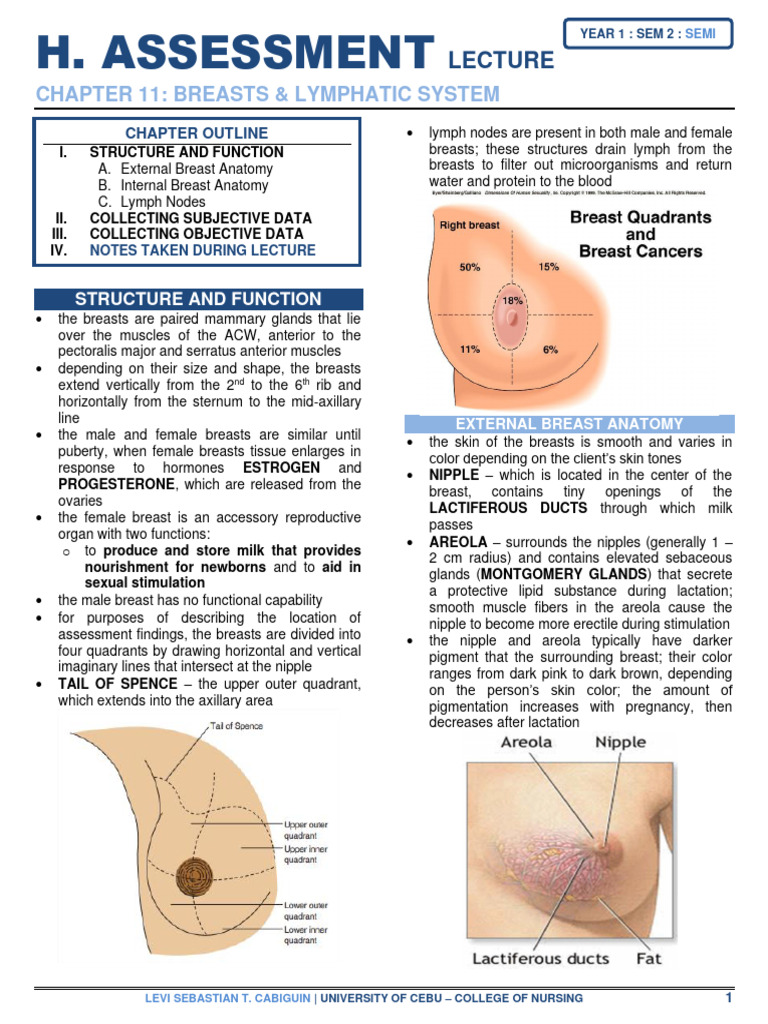 (H.a.) Chapter 11 - Breasts & Lymphatic System | PDF (H.a.) Chapter 11 - Breasts & Lymphatic System | PDF