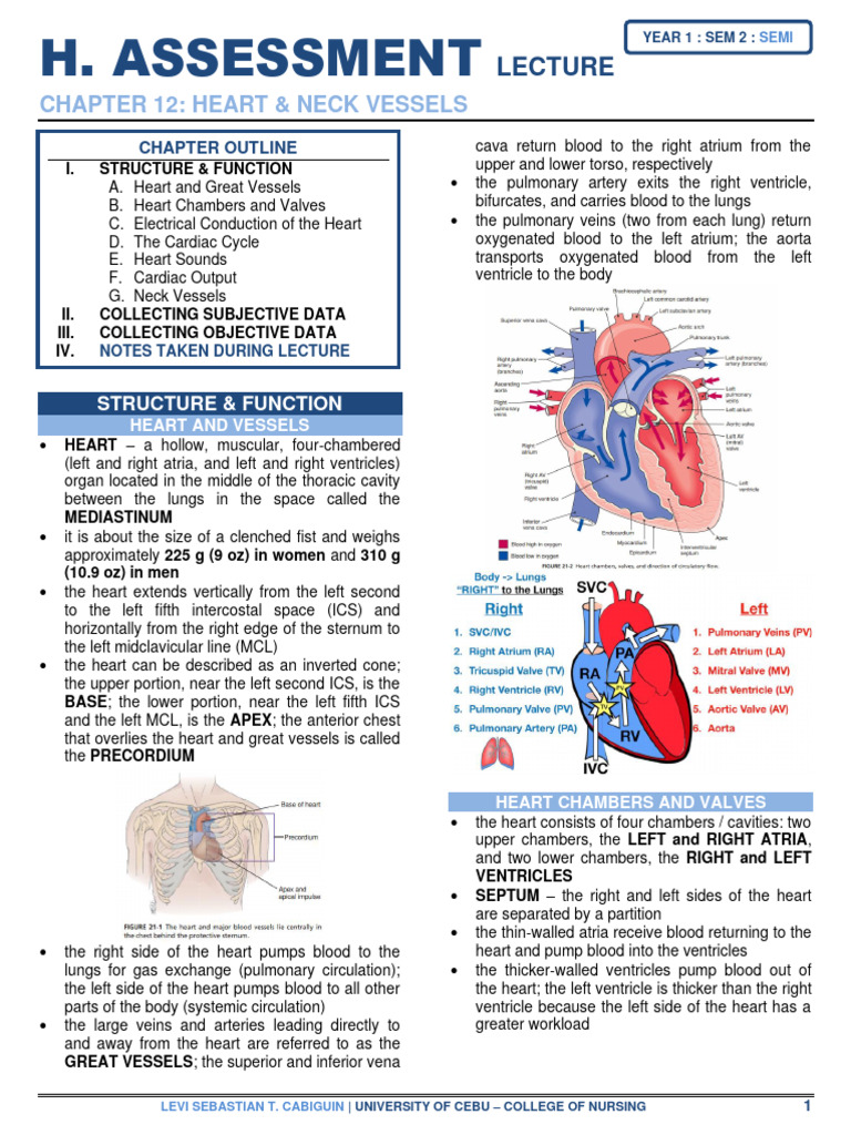 (H.a.) Chapter 12 - Heart & Neck Vessels | PDF | Heart Valve | Heart