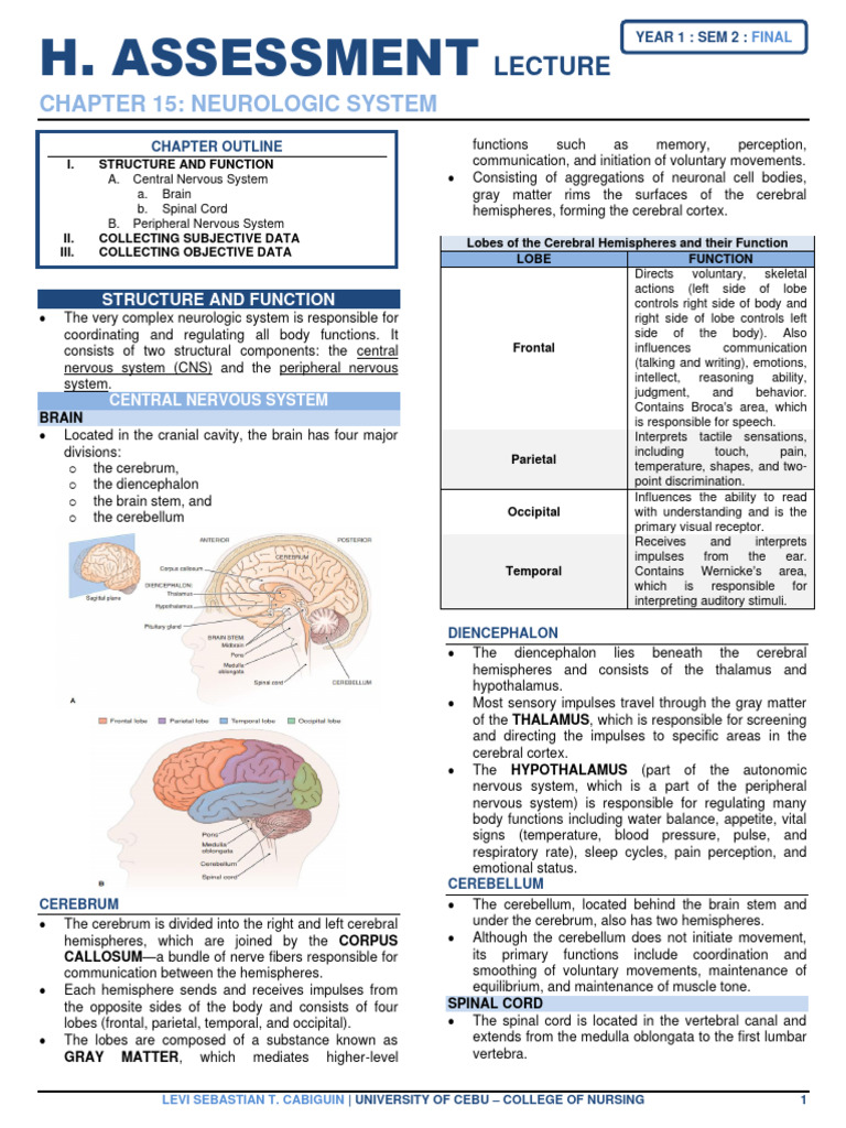 Neurologic System Overview and Functions | PDF | Autonomic Nervous ...