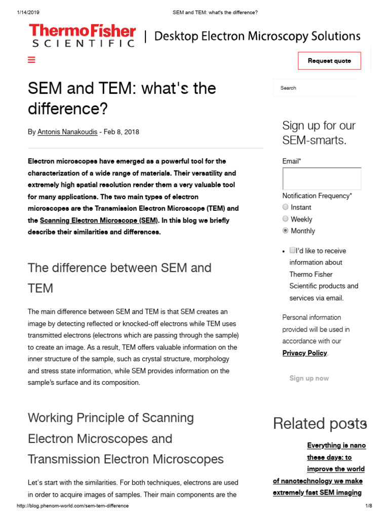 SEM and TEM - What's The Difference | Download Free PDF | Scanning ...
