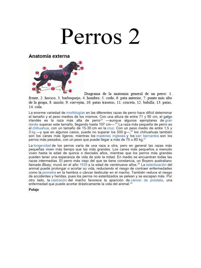 Perros 2 Pdf Piel Depredación