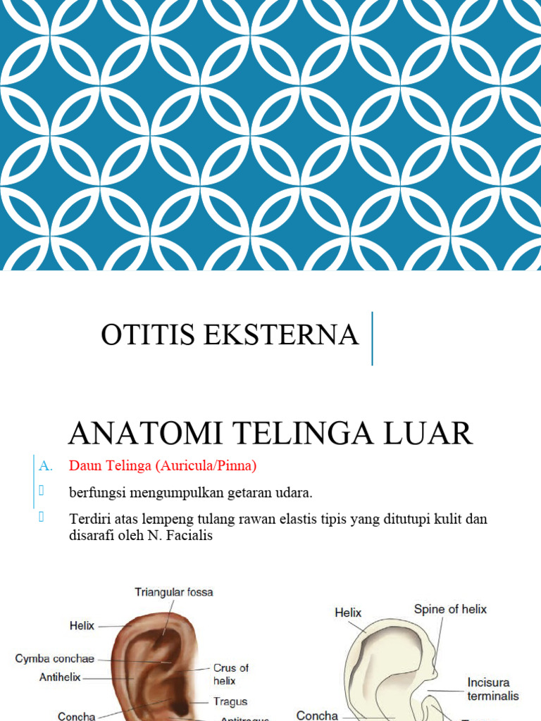 Panduan Lengkap Otitis Eksterna | PDF