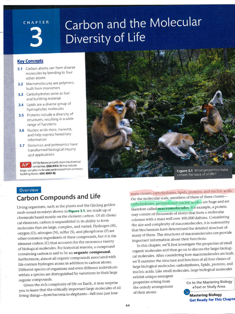 AP Bio Textbook - Chapter 3 | PDF